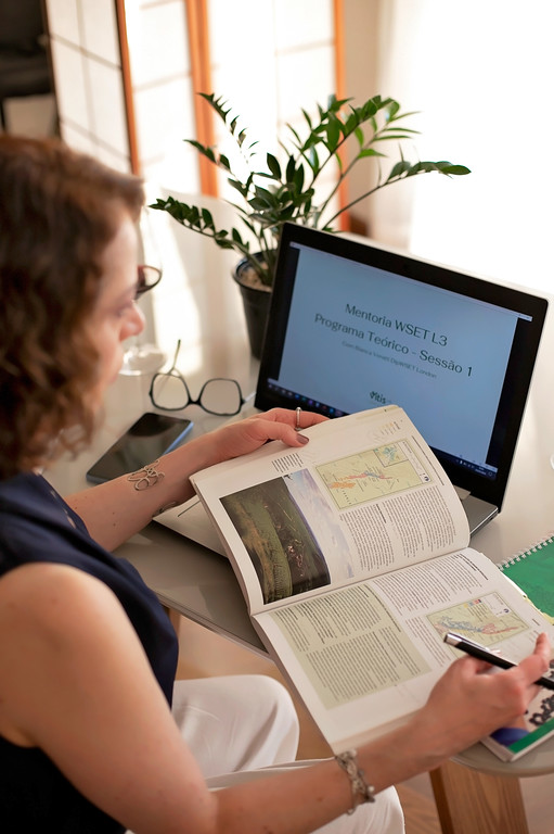 Mentoria WSET 3 - Vitis Lab