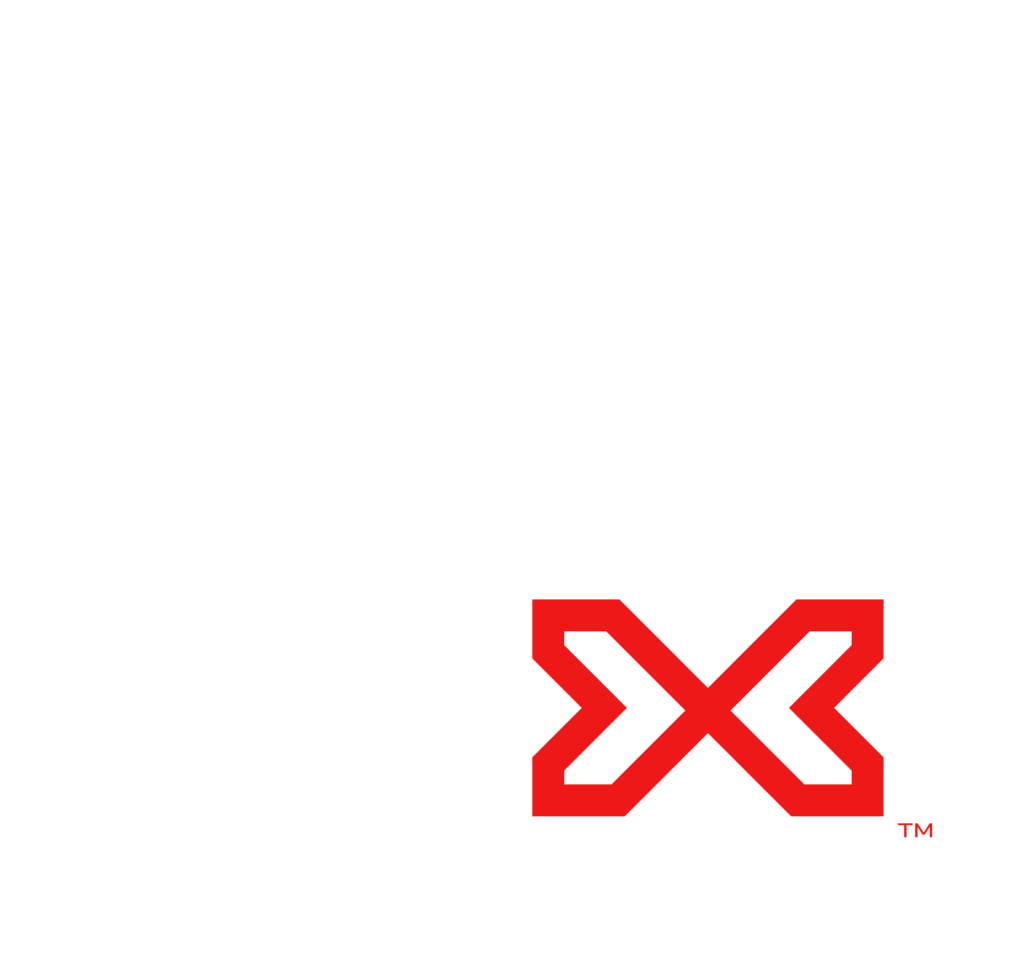 Elemento X