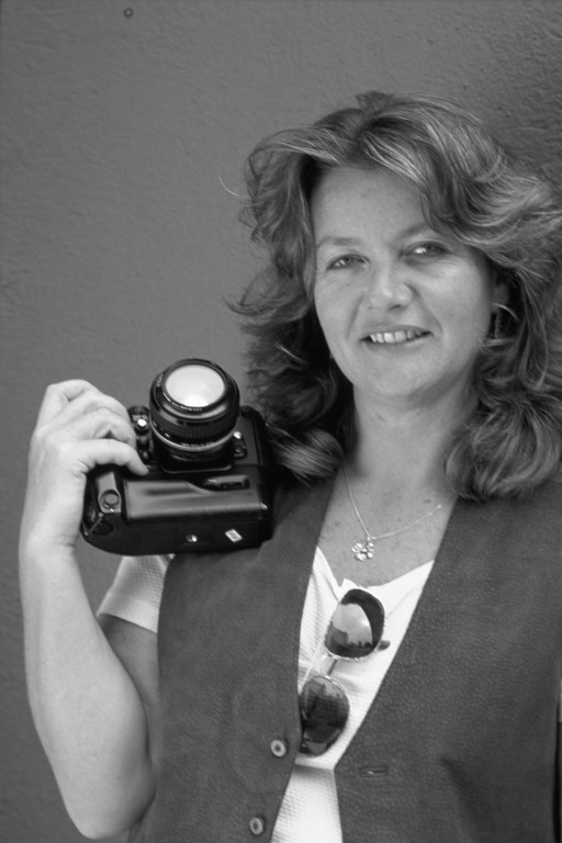 Denise Greco - Contemporâneos Galeria de Arte